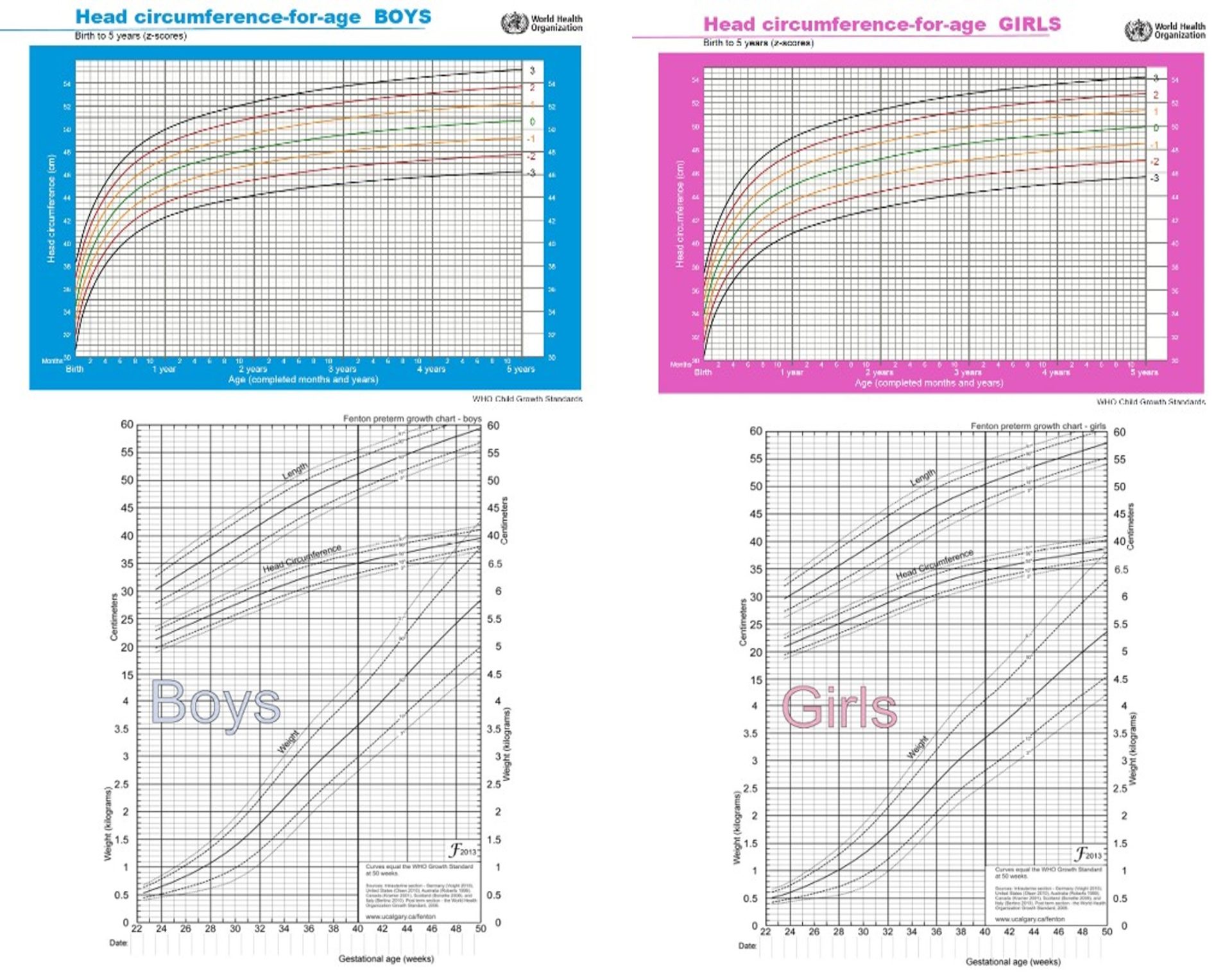 Microcefalia e Macrocefalia - Dra. Raquel Rodrigues - Neurocirurgia ...